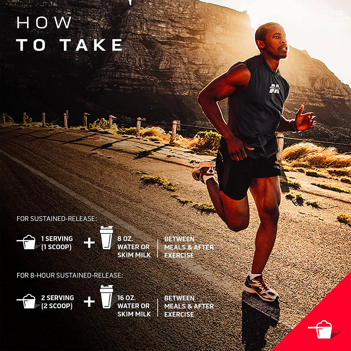 MUSCLETECH PLATINUM 8-HOUR PROTEIN | GYMSUPPLEMENTSUS.COM – GYM ...